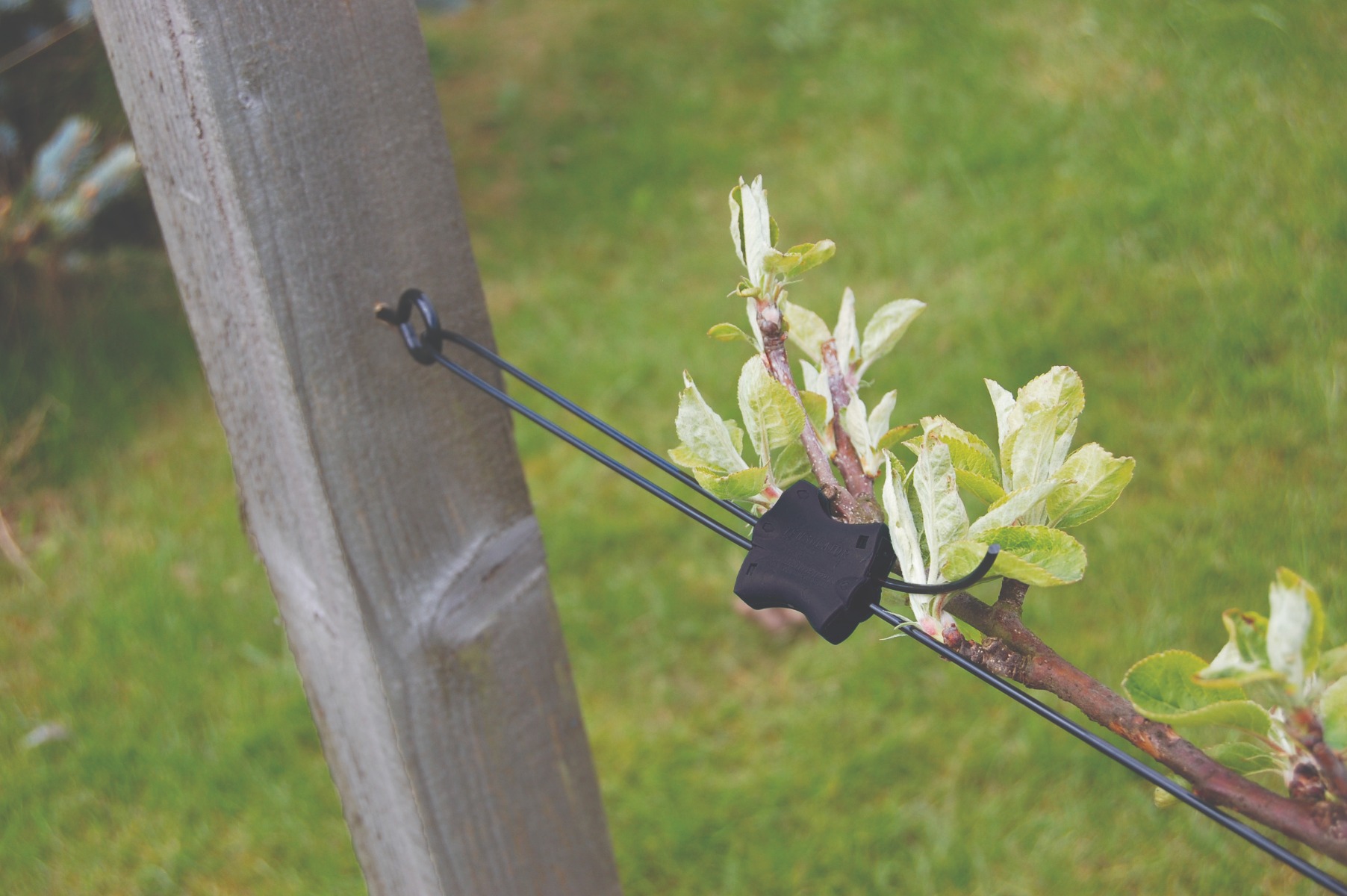 Gripple nylon trellis wire | Plant training kit